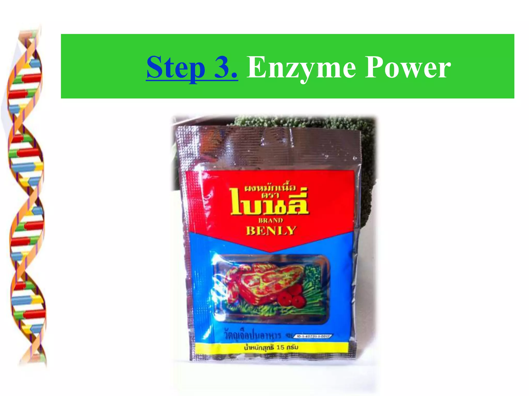 Biology Lab: Plant DNA Extraction | PPTX