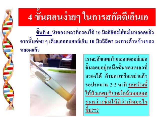 Biology Lab: Plant DNA Extraction | PPTX