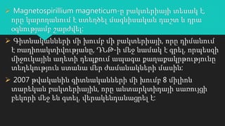 Հտարքրքիր փաստեր բակտերիաների մասին | PPTX