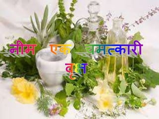 Importance of Neem | PPTX