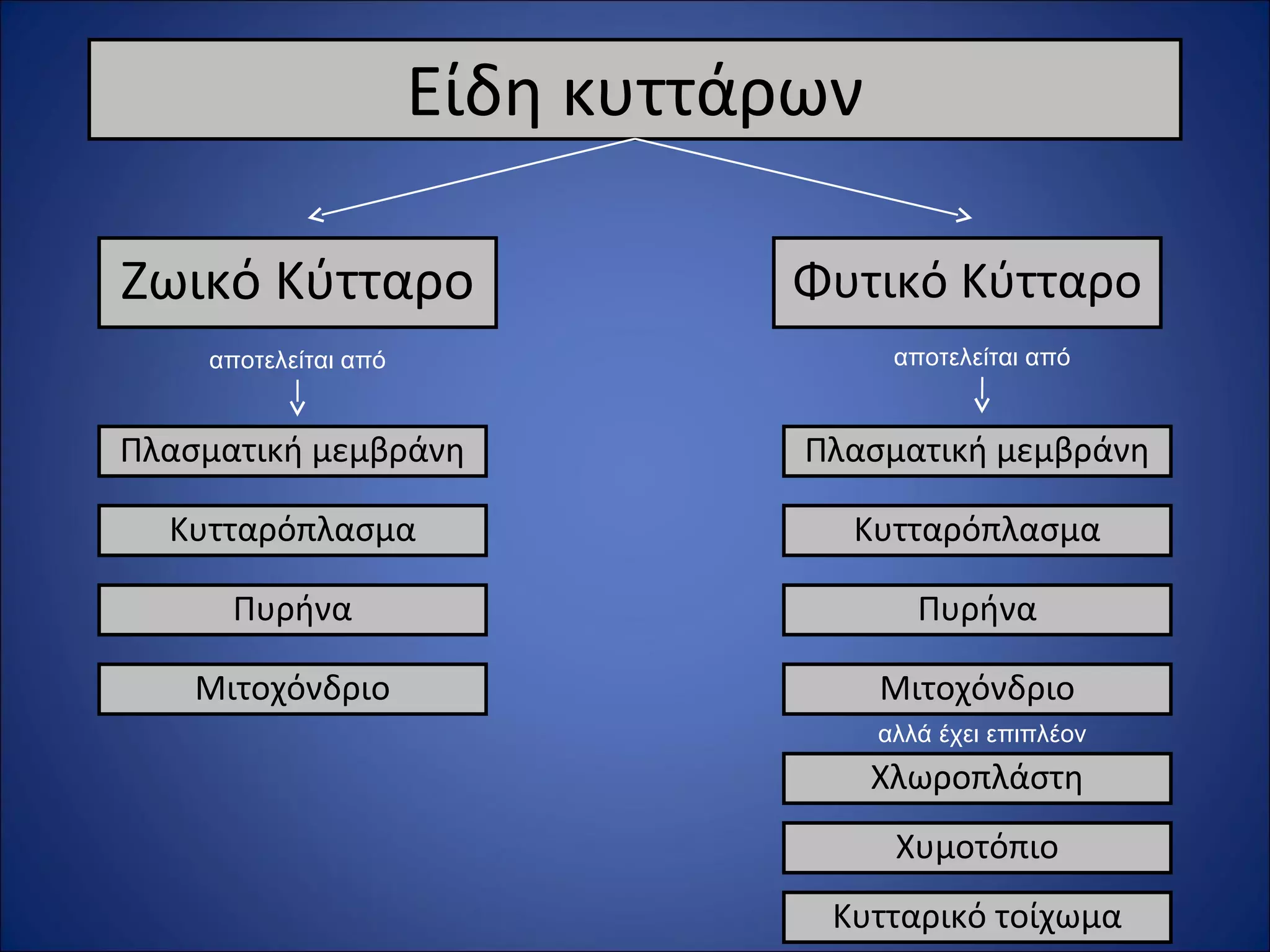 Τα χαρακτηριστικά των οργανισμών | PPT