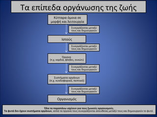 Τα επίπεδα οργάνωσης της ζωής | PPT