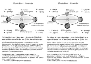 Ηλιοστάσια - Ισημερίες | PDF