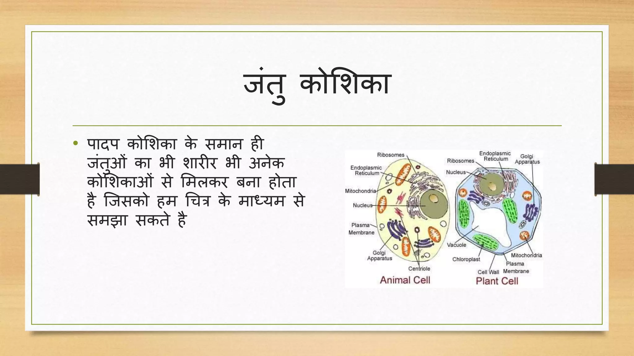 कोशिका | PPTX