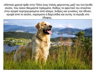 Η καθημερινή ζωή στο Βυζάντιο | PPT