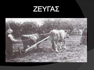 παραδοσιακά επαγγελματα | PPT