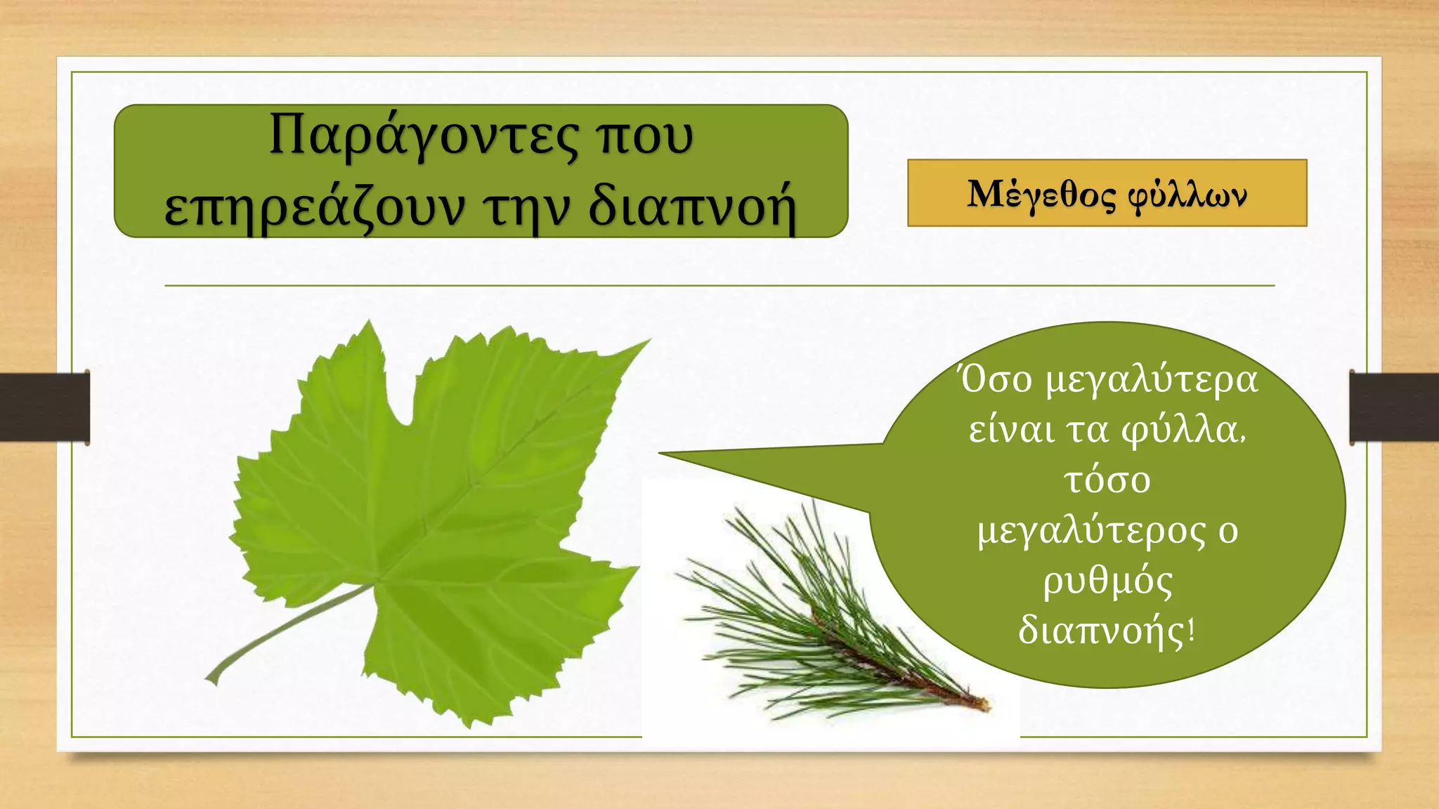 η διαπνοή των φυτών | PPTX