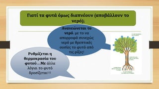 η διαπνοή των φυτών | PPTX