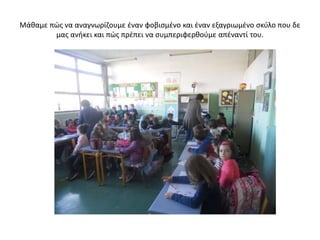 επισκεψη της φιλοζωικης εταιριας αγρινιου στο σχολειο μας | PPTX