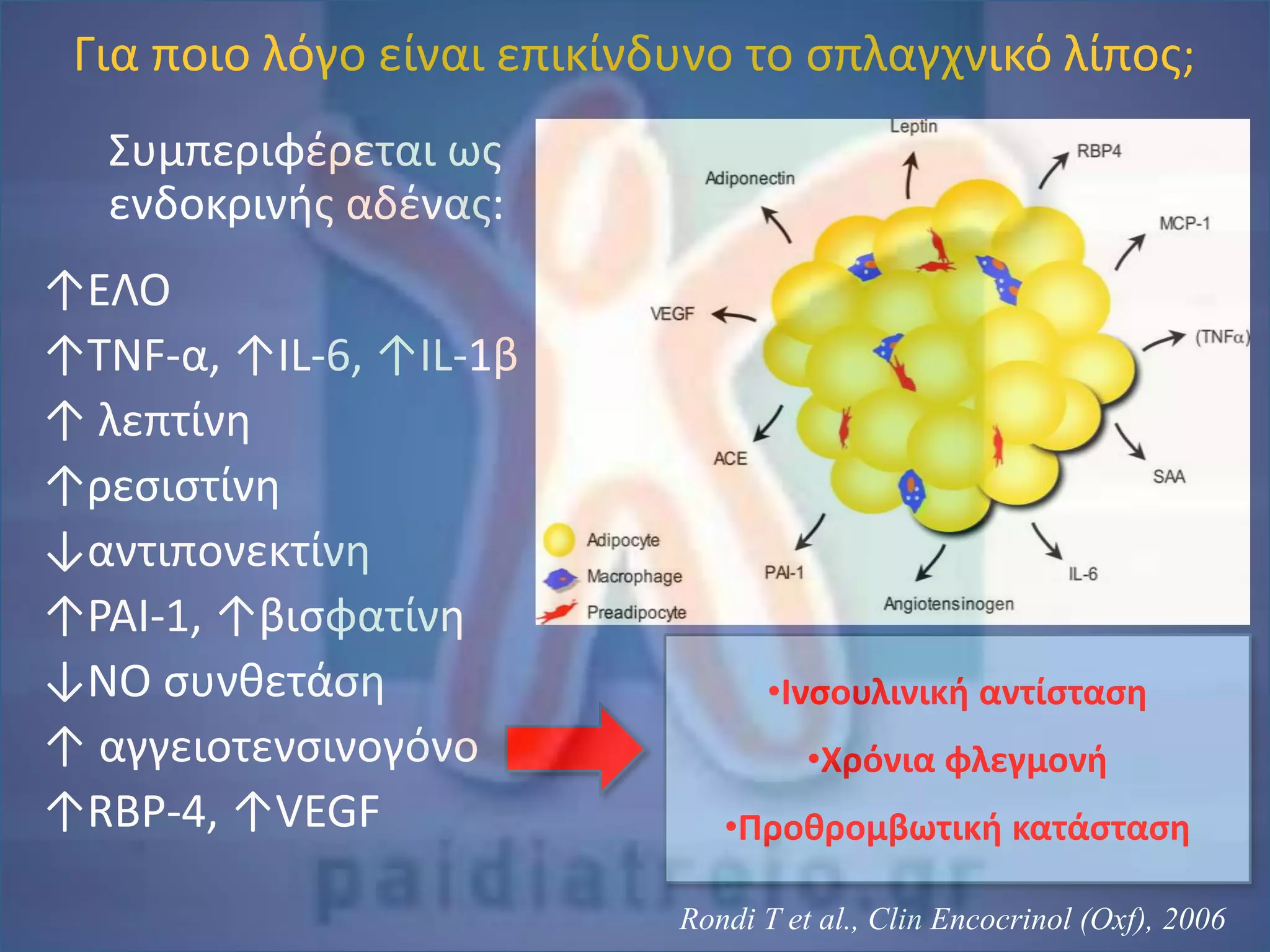 Δυσλιπιδαιμίες κι άλλοι παράγοντες κινδύνου αθηροσκλήρωσης σε παιδιά | PPT