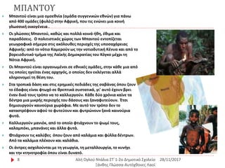Αυτοχθονες λαοι- Γλώσσα -ενότητα 6 | PPTX