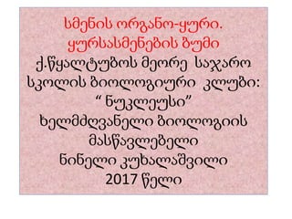 Random 171206194349 | PPT