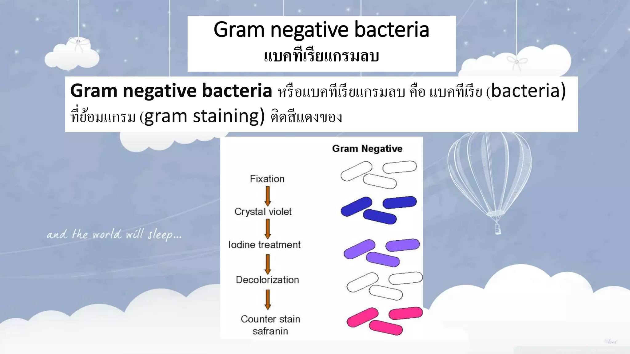Pathogenic Gram-Negative Cocci | PPT
