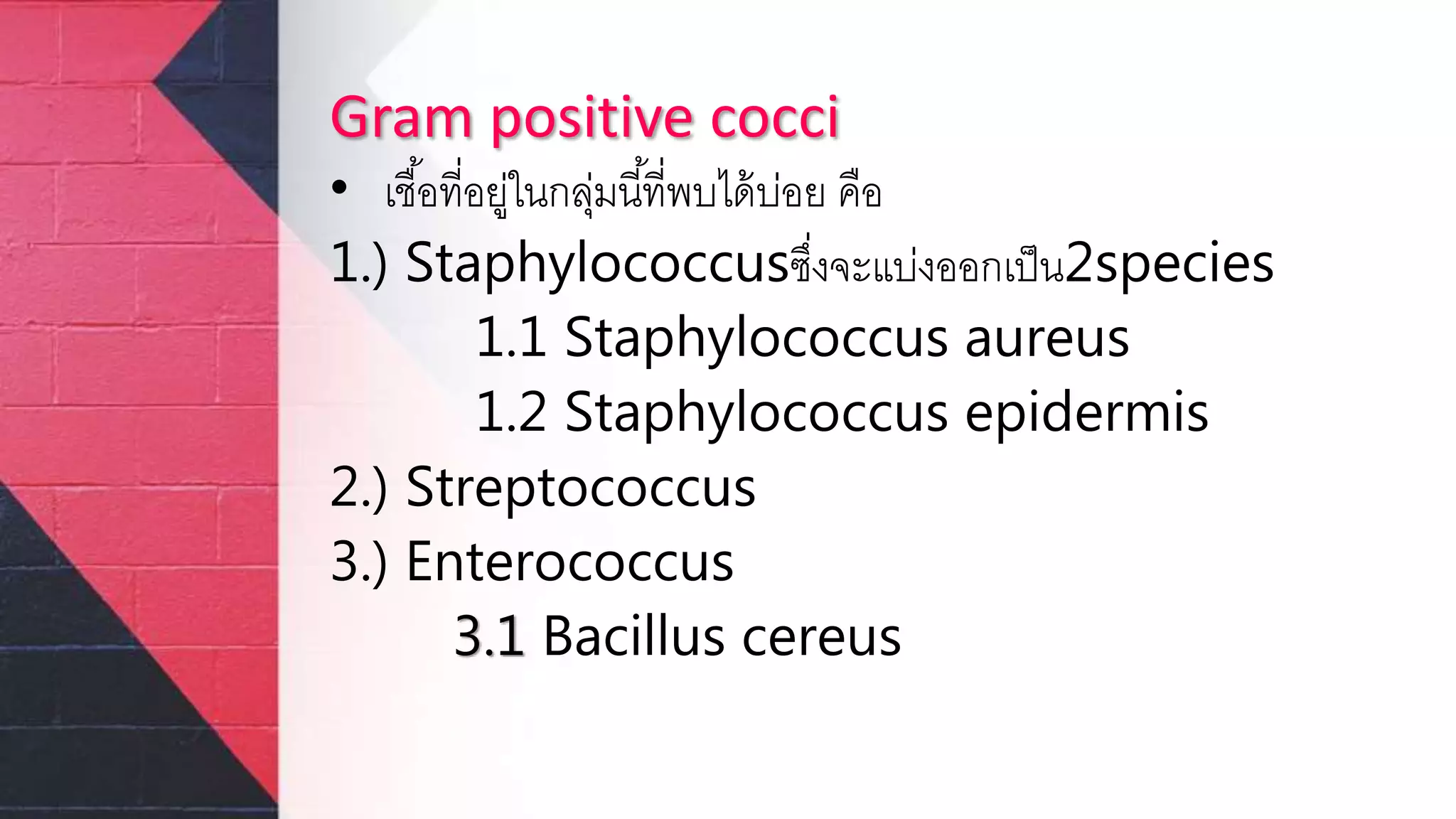 Gram-Positive cocci | PPTX
