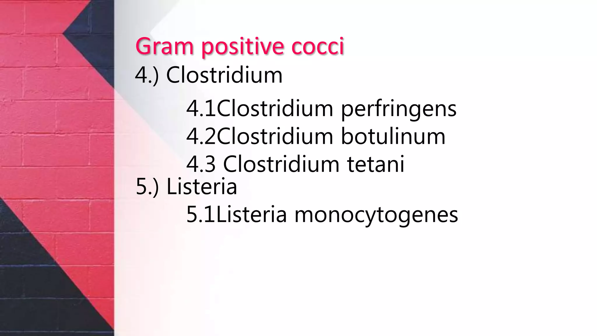 Gram-Positive cocci | PPTX