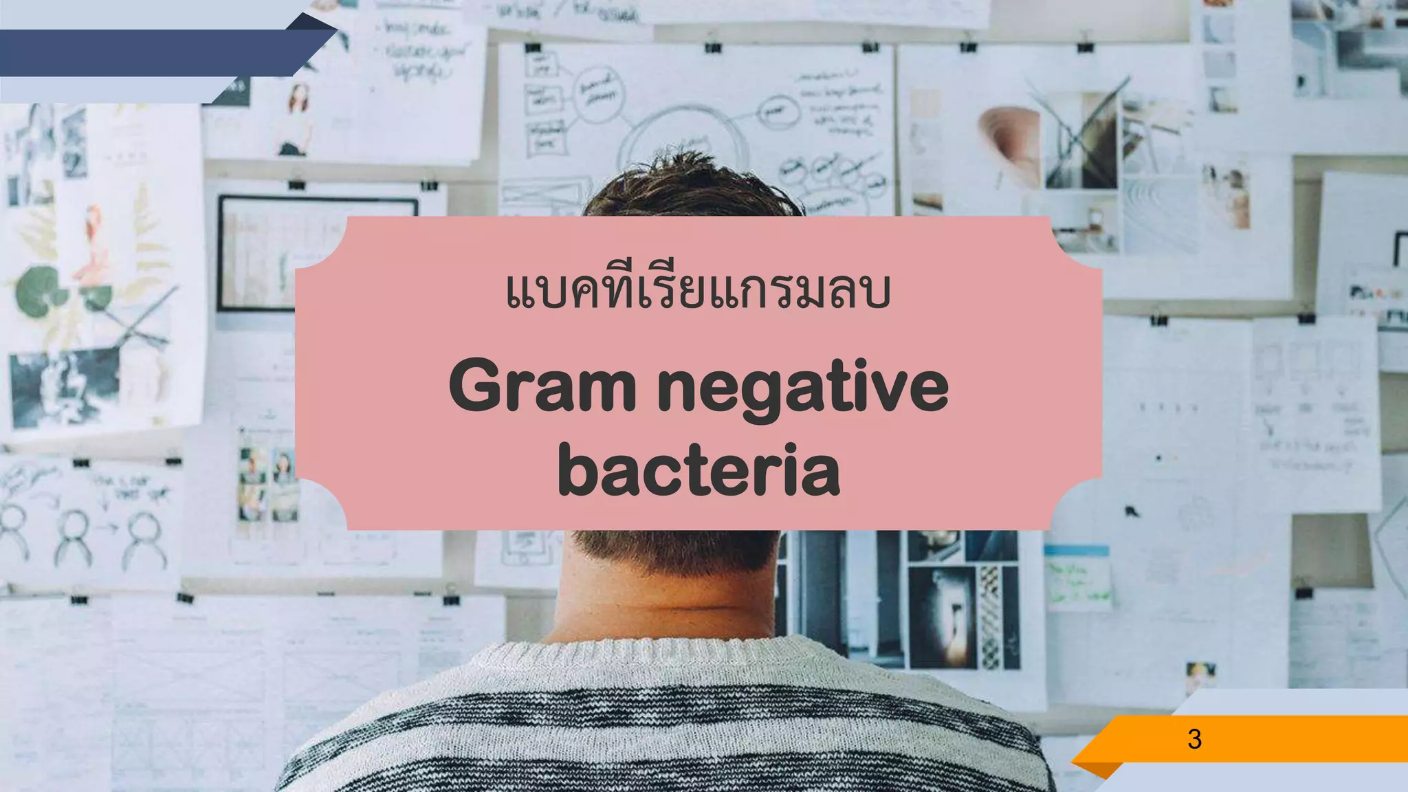 Pathogenic Gram-Negative Bacilli (Oxidase -) | PPT