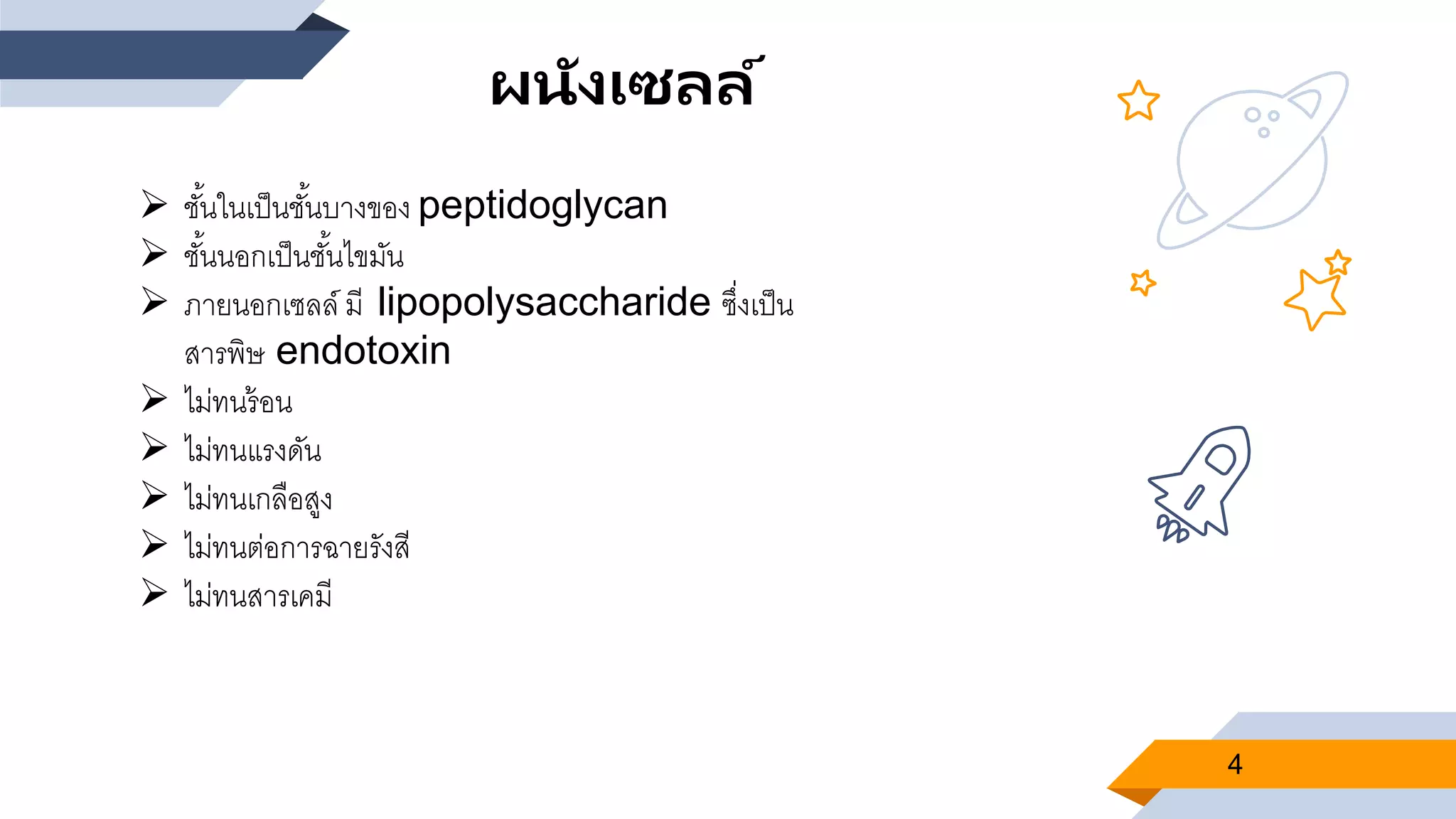 Pathogenic Gram-Negative Bacilli (Oxidase -) | PPT