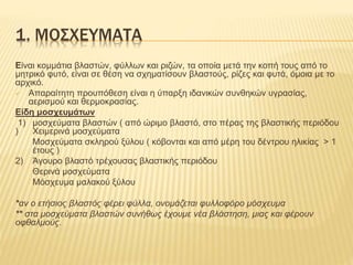 φυτική παραγωγή, β΄ επαλ τελικο | PPTX