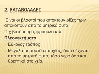φυτική παραγωγή, β΄ επαλ τελικο | PPTX