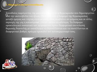 Διάβρωση | PPT