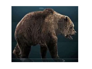 თეთრი მღვიმე | PPT