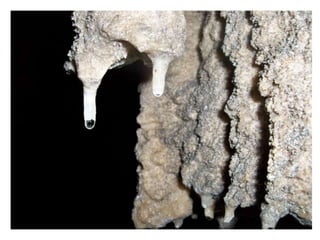 თეთრი მღვიმე | PPT