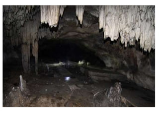 თეთრი მღვიმე | PPT