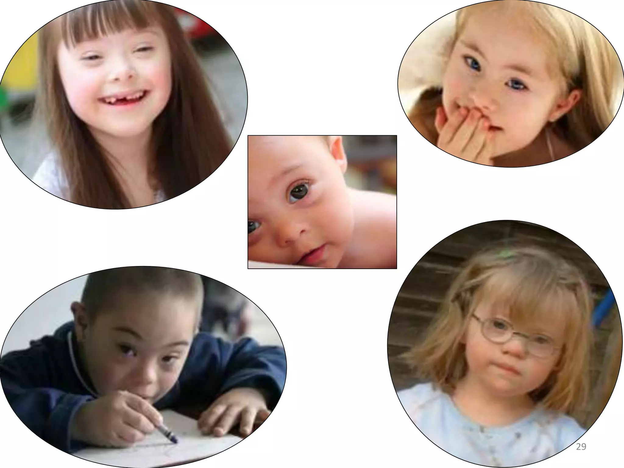 αμεα ολοι διαφορετικοι ολοι ισοι | PPT