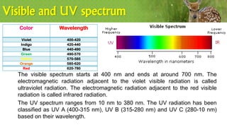UV-Ultraviolet Visible Spectroscopy MANIK | PPSX