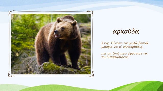 Τα ζώα του δάσους | PPTX