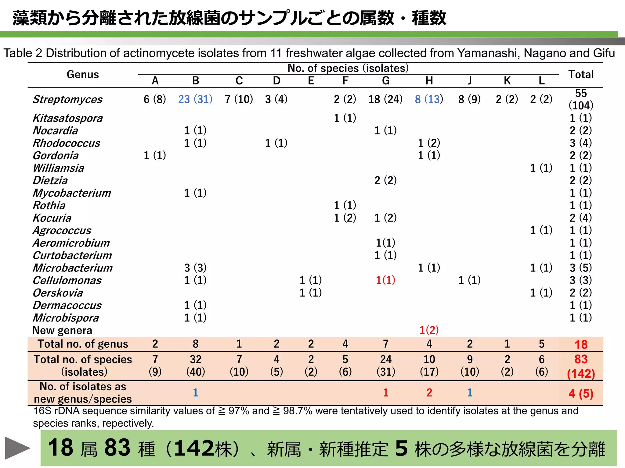 河川付着藻類から分離された放線菌の多様性と分類学的研究 | PPTX