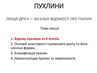  PPTX