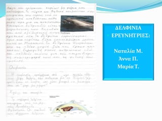 δελφινια-Χρύσα Κοκορίκου | PPTX