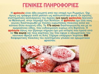 Φραούλα | PPT | Free Download