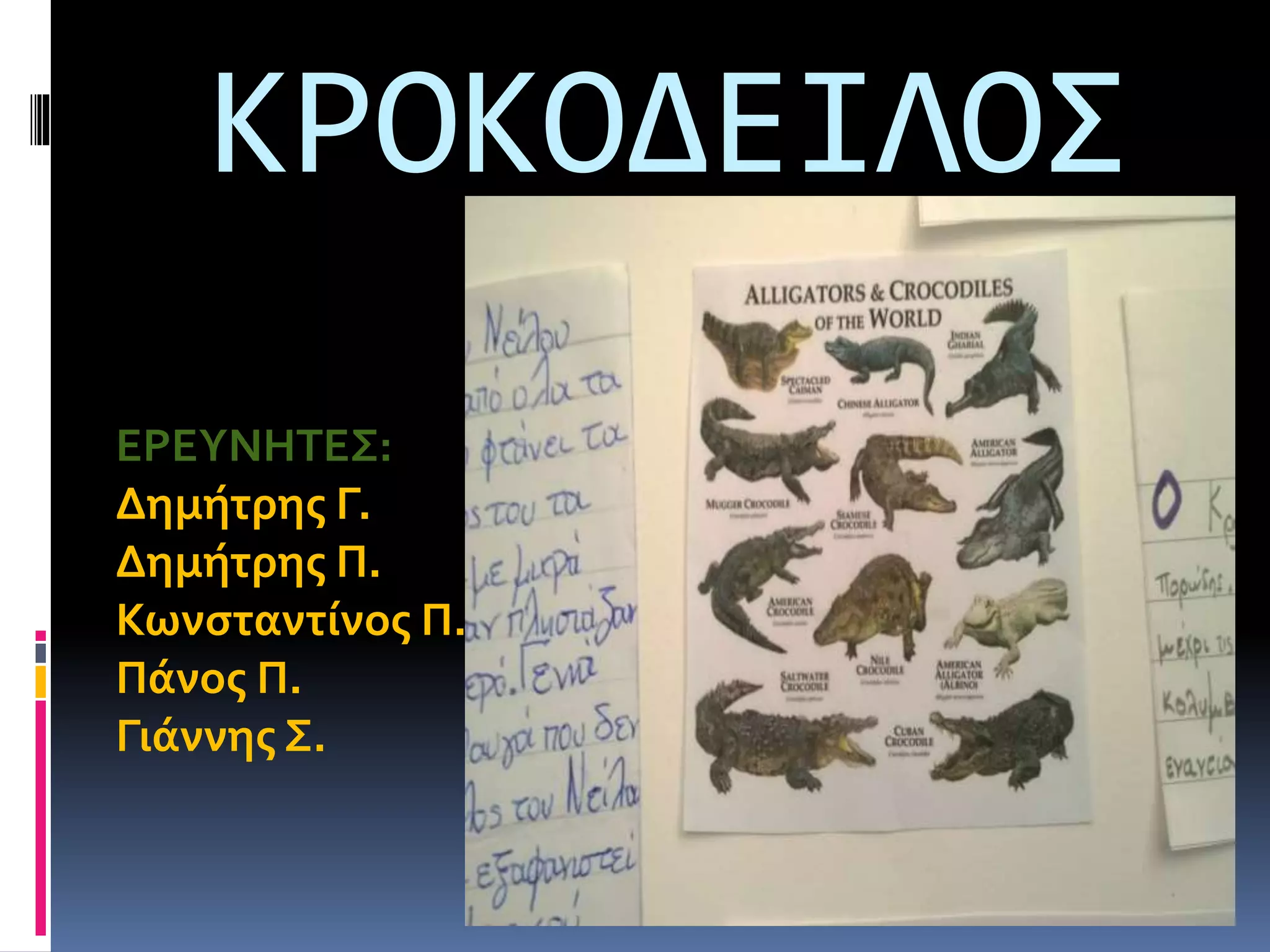 κροκοδειλος-Χρύσα Κοκορίκου | PPT