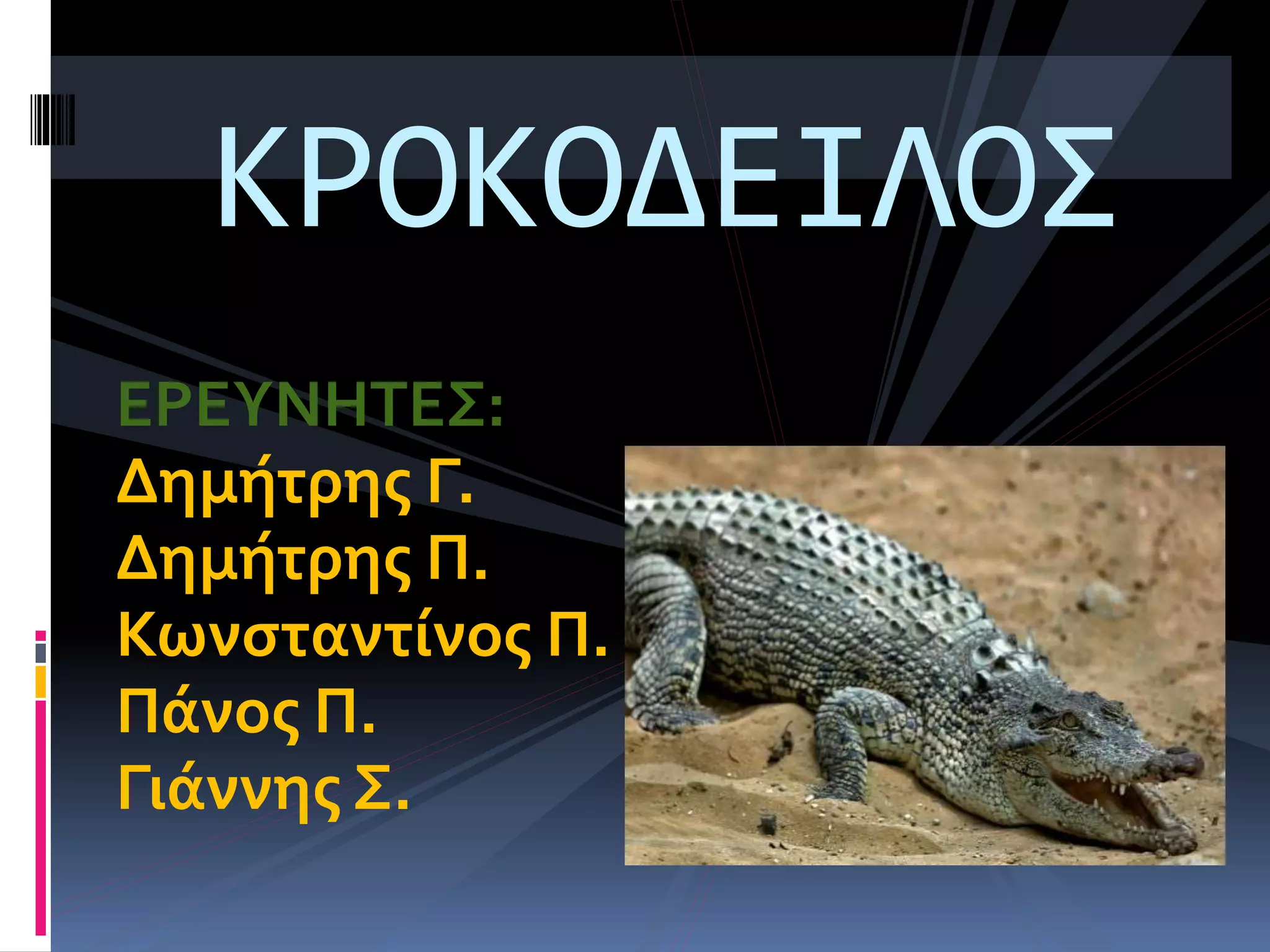 κροκοδειλος-Χρύσα Κοκορίκου | PPT