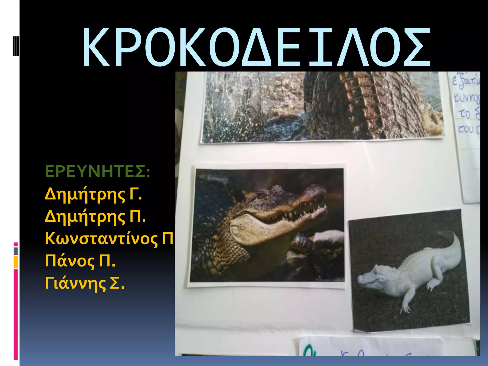 κροκοδειλος-Χρύσα Κοκορίκου | PPT