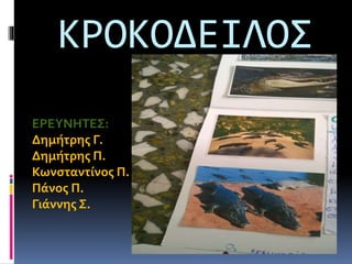 κροκοδειλος-Χρύσα Κοκορίκου | PPT