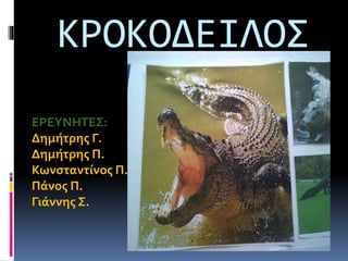 κροκοδειλος-Χρύσα Κοκορίκου | PPT