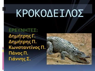 κροκοδειλος-Χρύσα Κοκορίκου | PPT
