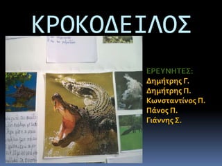 κροκοδειλος-Χρύσα Κοκορίκου | PPT