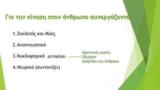 Το μυοσκελετικό σύστημα του ανθρώπου | PPTX