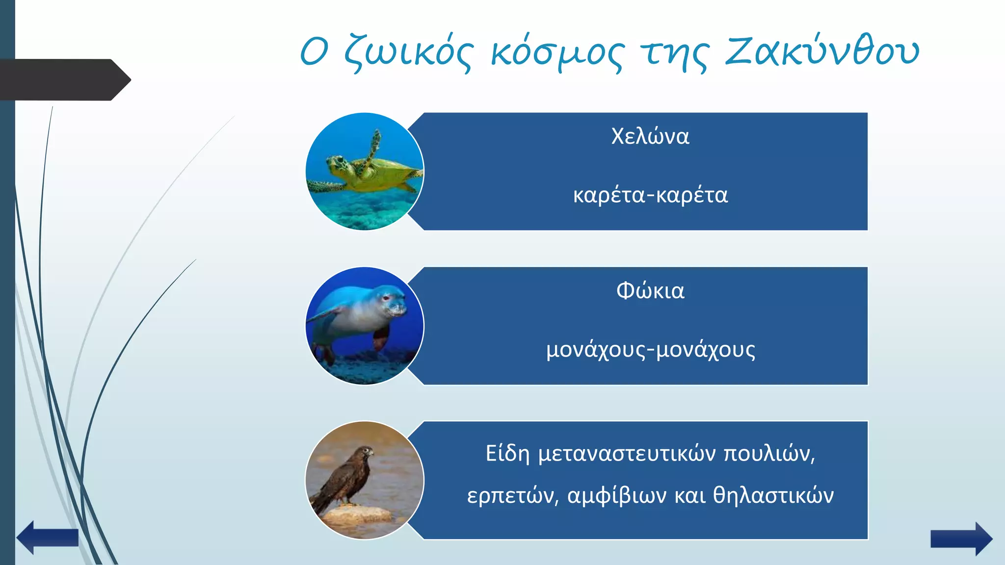 ΖΑΚΥΝΘΟΣ "ΤΟ ΦΙΟΡΟ ΤΟΥ ΛΕΒΑΝΤΕ" | PPT