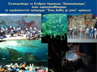 ΔΡΑΣΕΙΣ ΔΙΚΤΥΟΥ "ΑΝΑΚΥΚΛΩΣΩΣΤΕ" | PPT