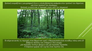 οι κλιματικές ζώνες της γης | PPTX