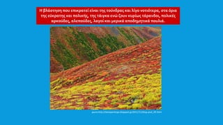 οι κλιματικές ζώνες της γης | PPTX