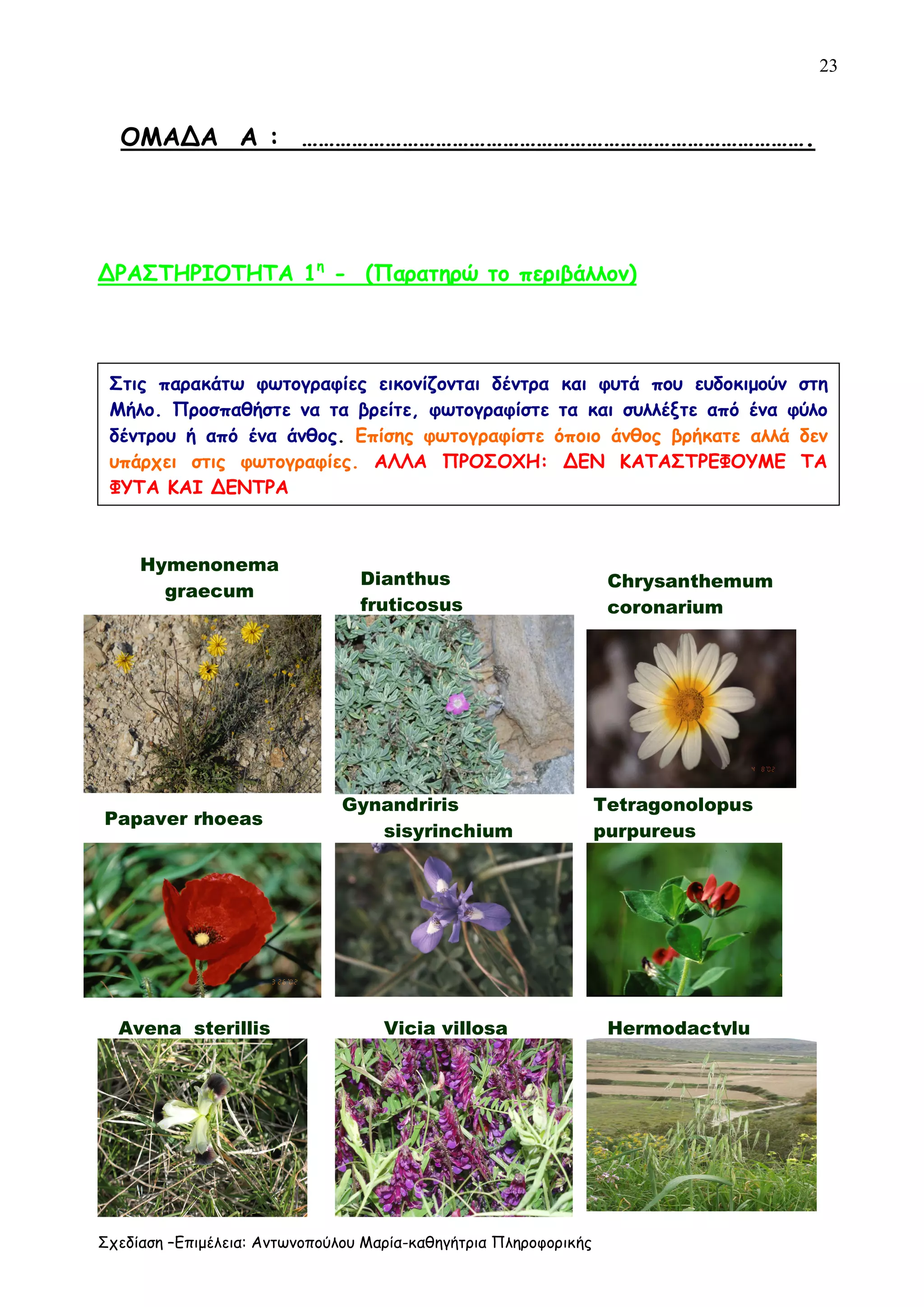 Φύλλα εργασίας - Πρόγραμμα Π.Ε.για Κλιματική Αλλαγή | PDF