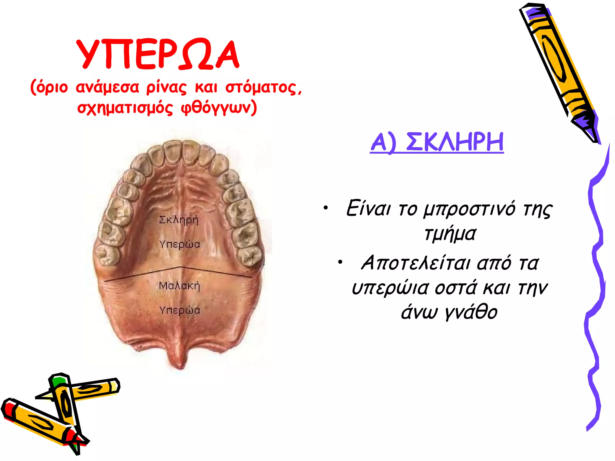 ΠΕΠΤΙΚΟ ΣΥΣΤΗΜΑ | PPT