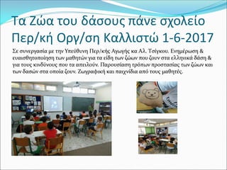 Οι φίλοι μου τα ζώα- 7ο ΔΣ Ελευσίνας | PDF