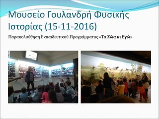 Οι φίλοι μου τα ζώα- 7ο ΔΣ Ελευσίνας | PDF